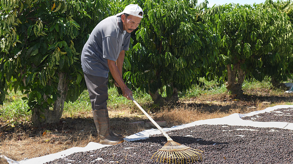 Forest Positive and Farmers Connect Programme
